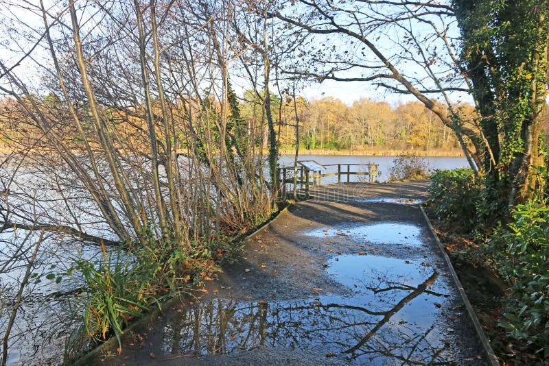 Reflections in Stover Country Park, Devon, in Autumn Stock Photo ...