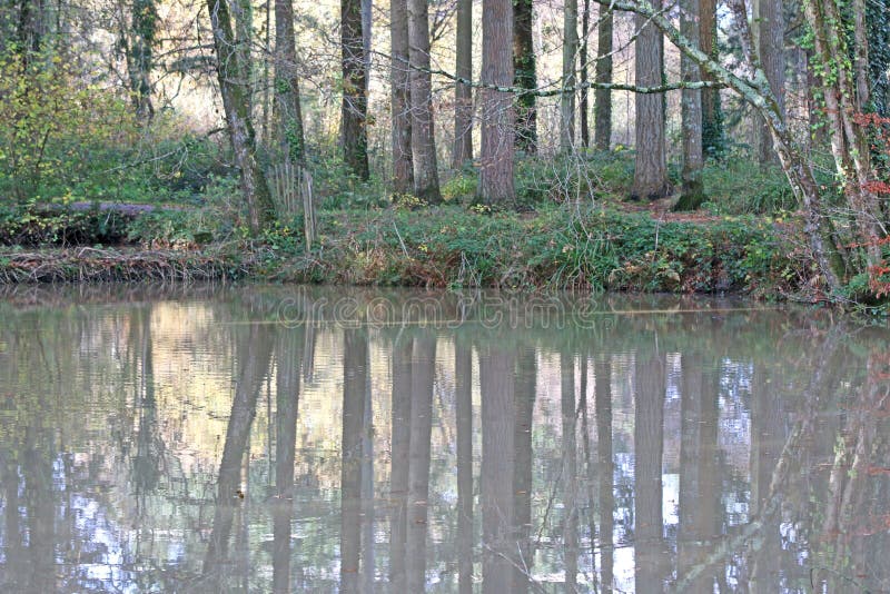 Reflections in Stover Country Park, Stock Photo - Image of season ...