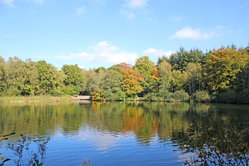 Reflections in Stover Lake, Devon Stock Photo - Image of nature, wood ...