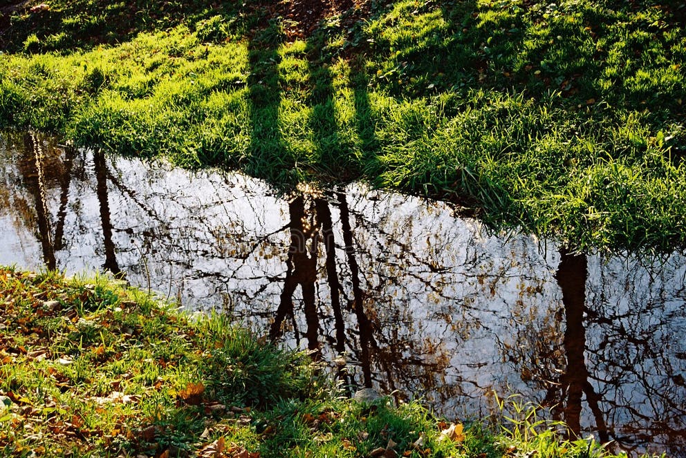 Reflections in a stream stock photo. Image of setting - 2238526