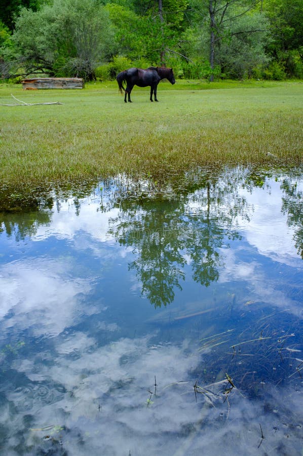 Reflections in the stream stock image. Image of clouds - 99081411