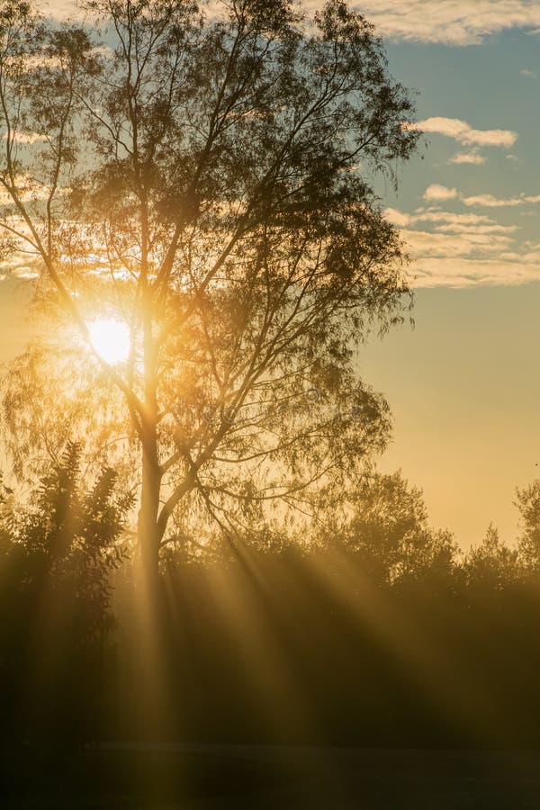 Reflections of the sun stock image. Image of sunset - 168434957