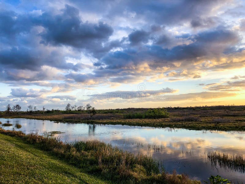 Sunset in the swamp stock image. Image of outdoors, cypress - 110814127