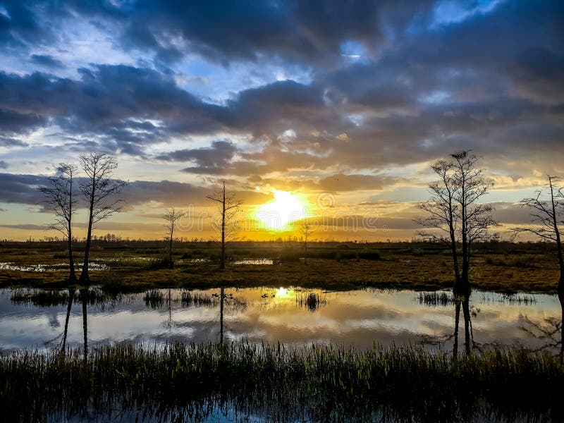 Sunset in the swamp stock photo. Image of pond, lake - 110814176