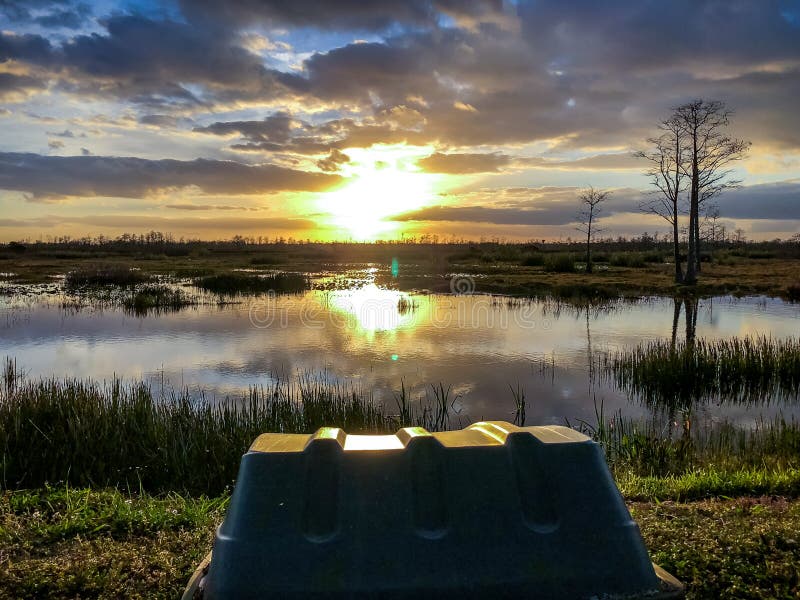 Sunset in the swamp stock photo. Image of bayou, nature - 110814214