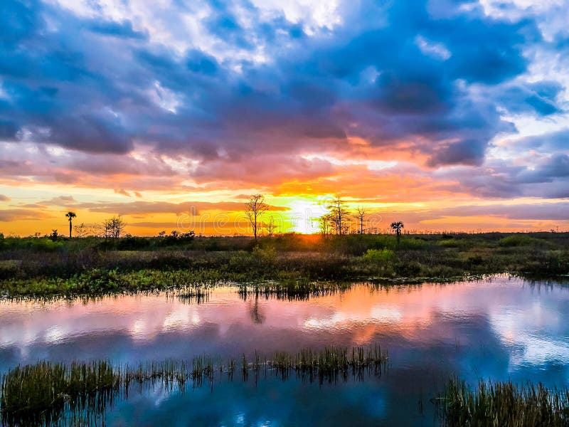 Sunset in the swamp stock photo. Image of bayou, cypress - 110814258