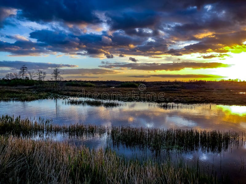 Sunset in the swamp stock photo. Image of morning, mist - 110814266