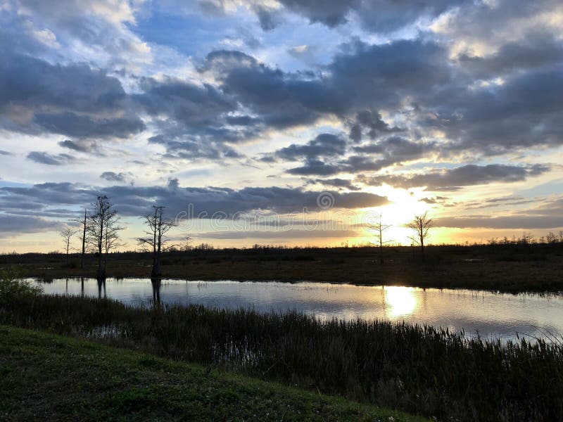 Sunset in the swamp stock image. Image of cloud, peaceful - 110817139