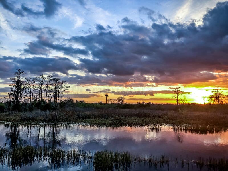 Sunset in the swamp stock image. Image of forest, grass - 110817235