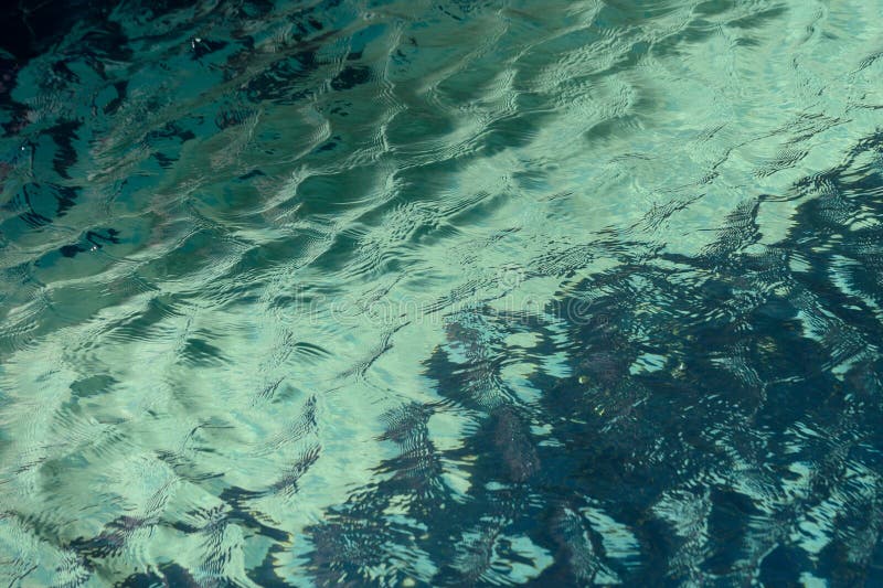 Reflections of Tranquility Dancing on the Surface of Clear Blue Waters ...