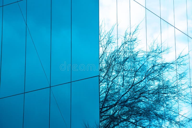 Reflections of Tree Branches in the Glass Facade of the Building Stock ...