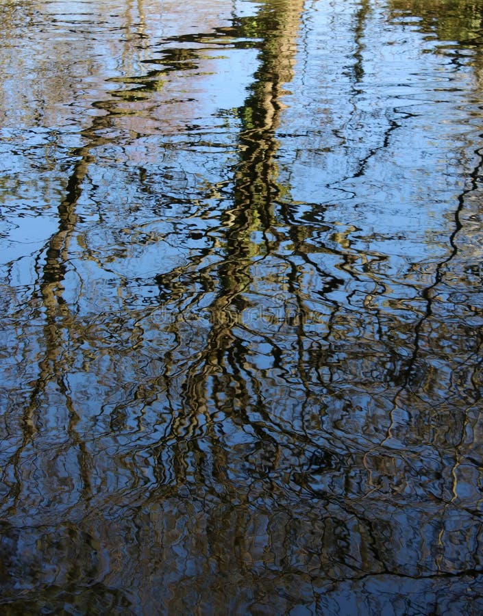 Reflections of Tree in Canal for Abstract Pattern Stock Image - Image ...