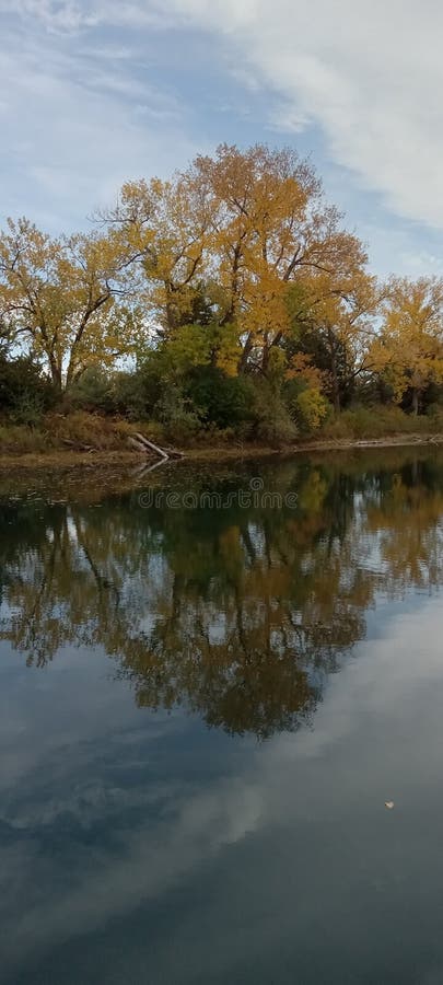 Reflections of the Sun among the Trees of the Forest Stock Photo ...