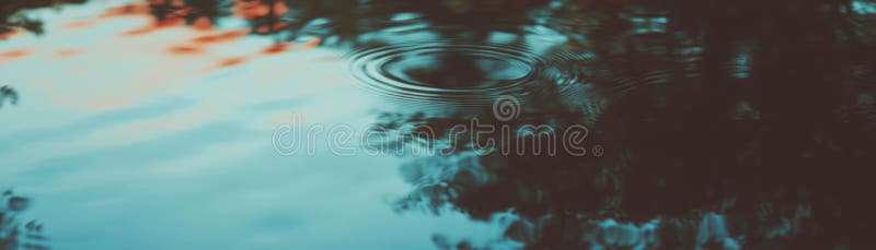 Reflections of Trees Create Abstract Patterns in Still Water with a ...