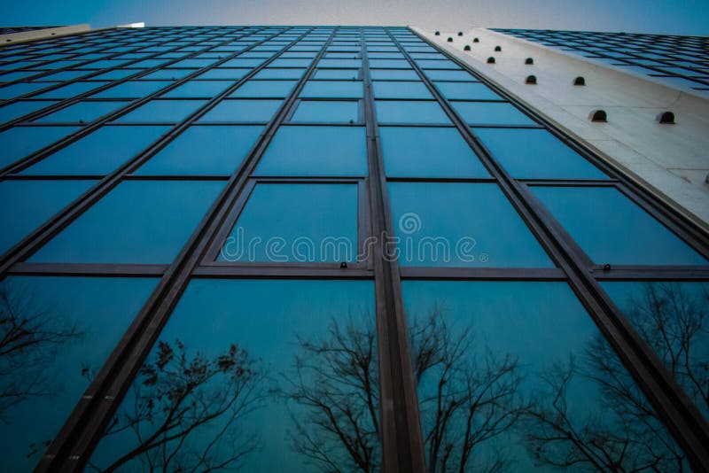 Reflections of Trees on a Reflective Building at Dusk Stock Photo ...