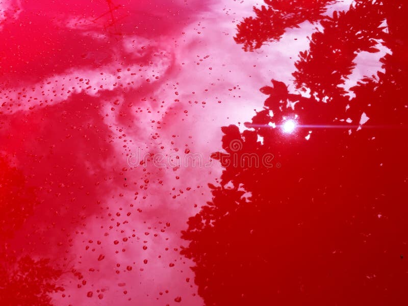 Reflections on the Trees and the Sky. Stock Image - Image of ...