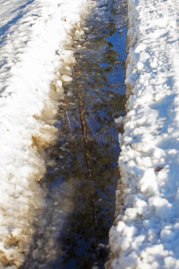 Reflections of Trees and Sky in a Snow Puddle on the Road, Vertical ...
