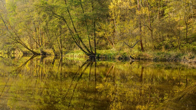 Reflections of Trees on Still River Water Surface Stock Photo - Image ...