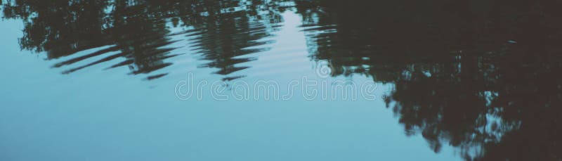 Reflections of Trees in Still Water Showcasing Halftone Texture and ...