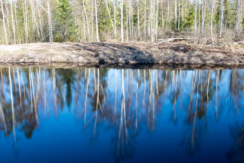 Reflections of Trees in Water Stock Image - Image of float, stagnant ...