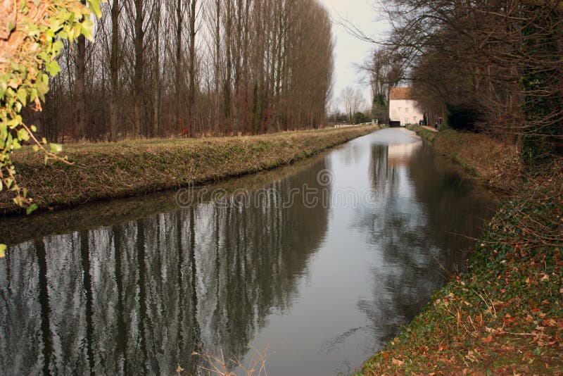 Reflections of Trees by a Water Mill. Stock Photo - Image of water ...