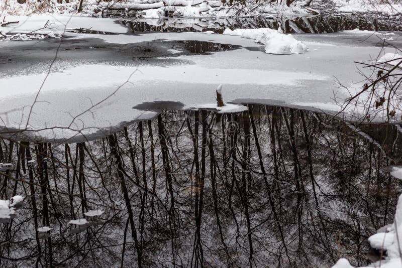 Reflections of Trees in the Water in Winter Stock Photo - Image of ...