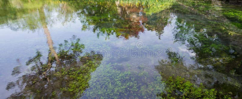 Reflections of the Vegetation in the Pure River Water Stock Photo ...