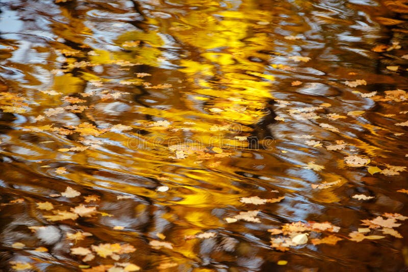 Reflections in the Water, Abstract Autumn Background Stock Image ...
