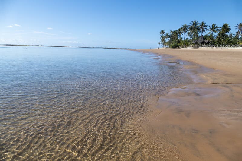 Idyllic Beach with Crystal Clear Water in Taipus De Fora, Marau, Brazil ...