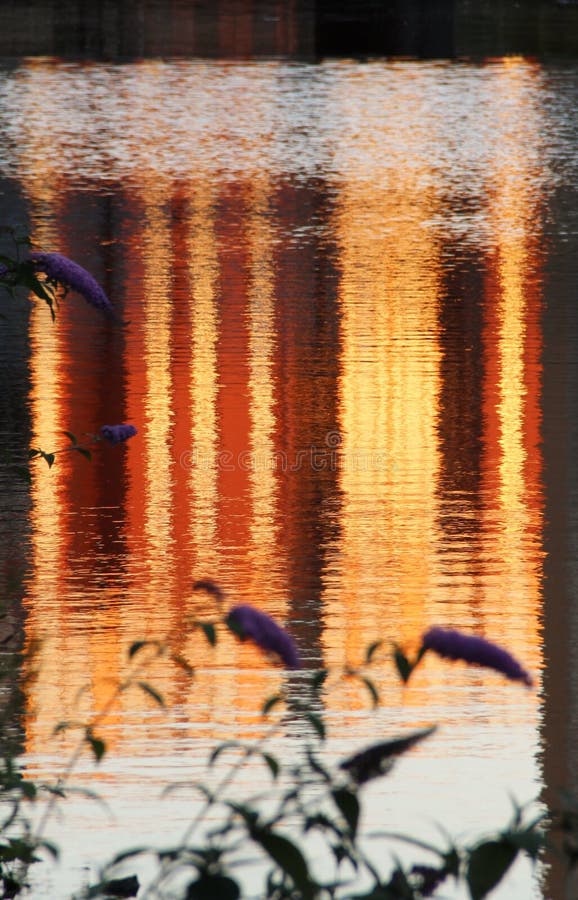 Reflections in water stock photo. Image of orange, calm - 63264682