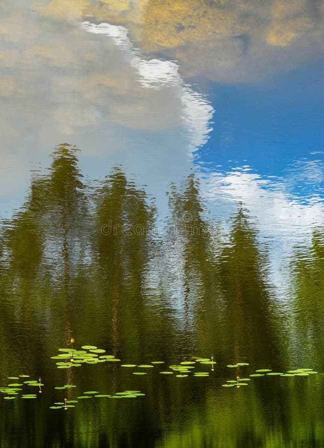 Reflections in Water with Trees in the Background Stock Photo - Image ...