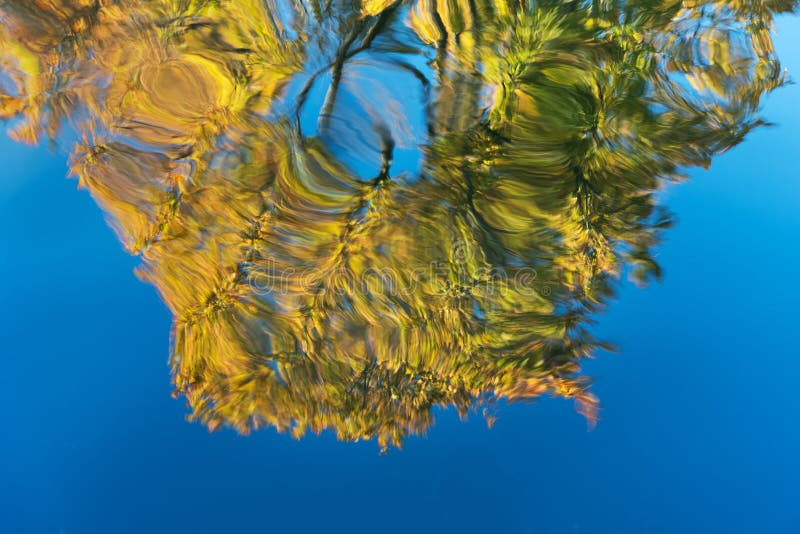 Reflections in water. stock photo. Image of autumn, motion - 60815906