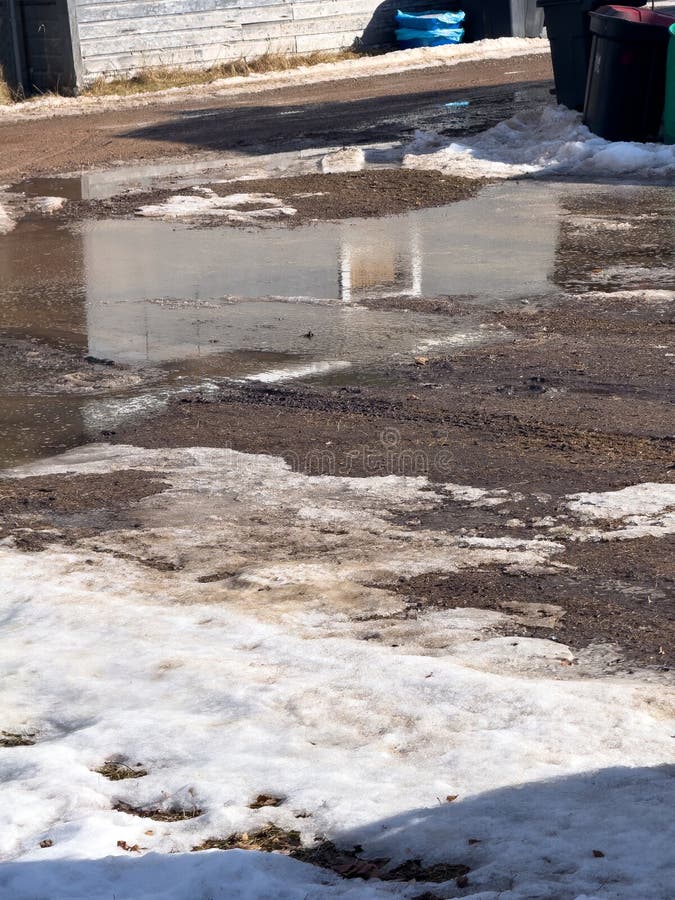 Reflections in a Wintertime Mud Puddle Stock Image - Image of ...