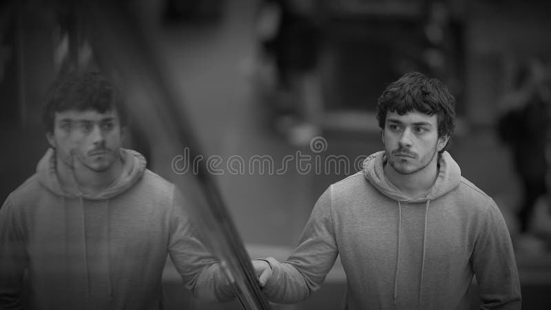 Reflective Ascendance in Urban Environments, Encapsulating Artistic ...