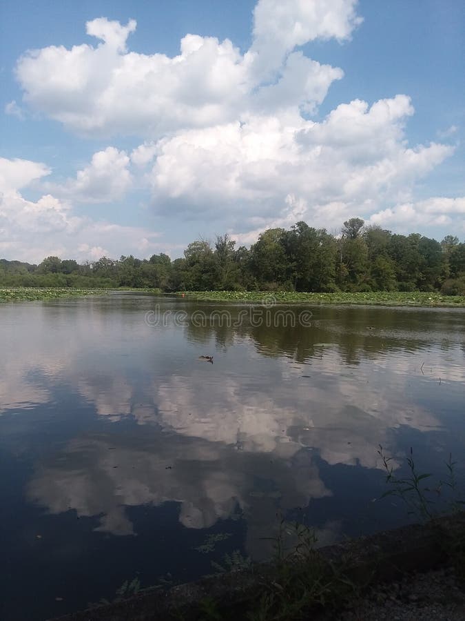 Reflective Lake with Sky and Trees Stock Image - Image of pond ...