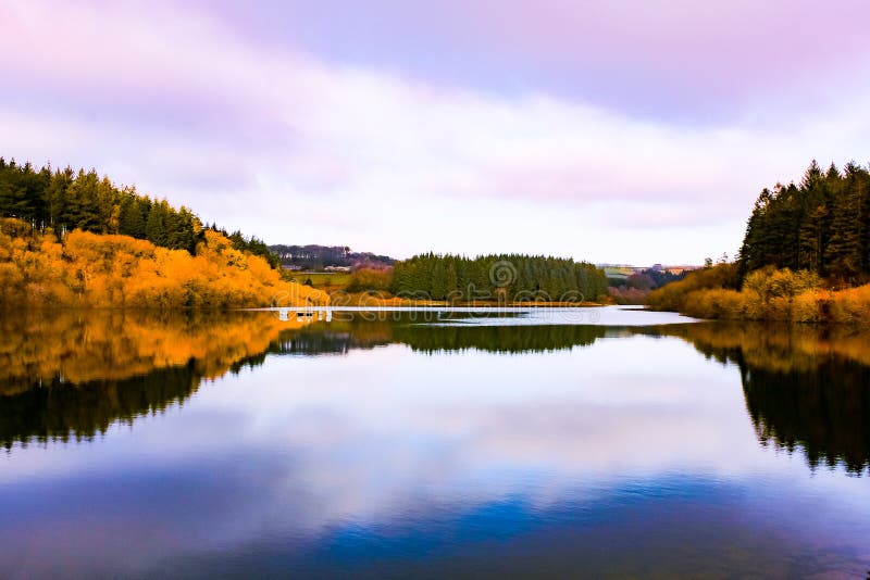 Reflective Lakeside View of Tree Line at Wistland Pound Stock Photo ...