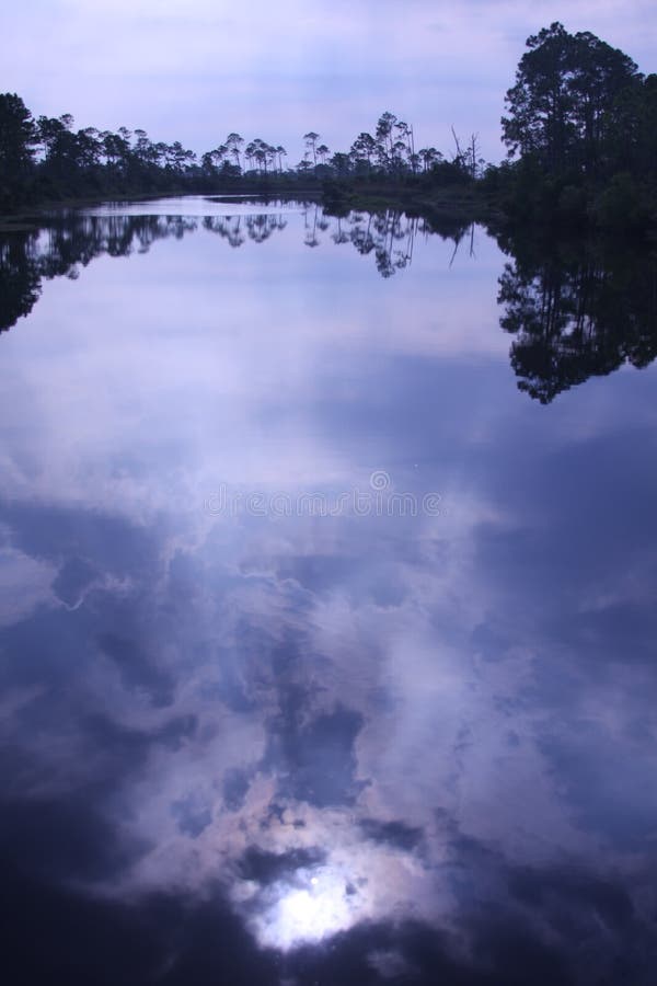 Reflective pond stock photo. Image of blue, fish, northern - 46697124