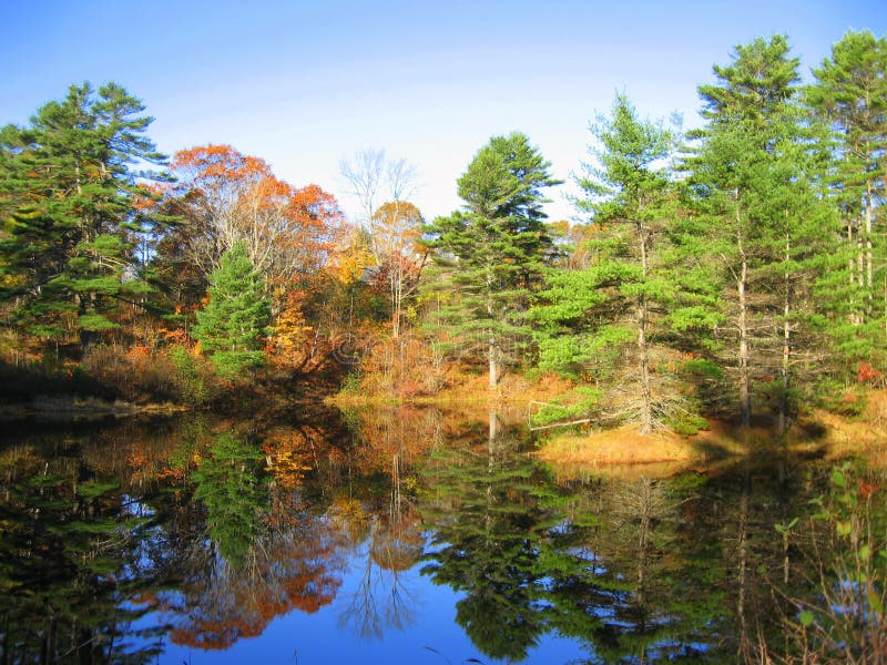 Reflective Pond, Maine stock image. Image of pond, peaceful - 4595271