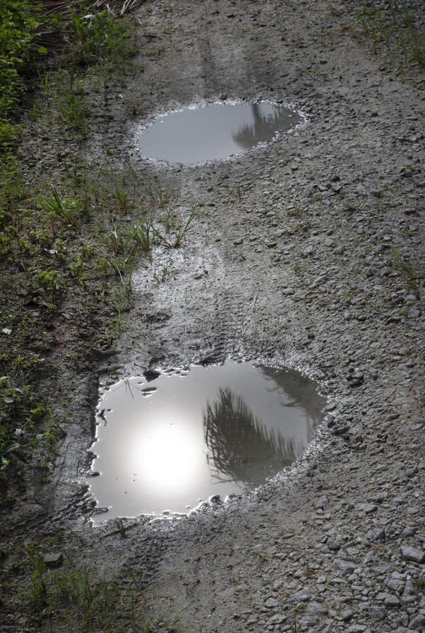 Reflective Puddle Along the Rural Pathway Stock Image - Image of puddle ...