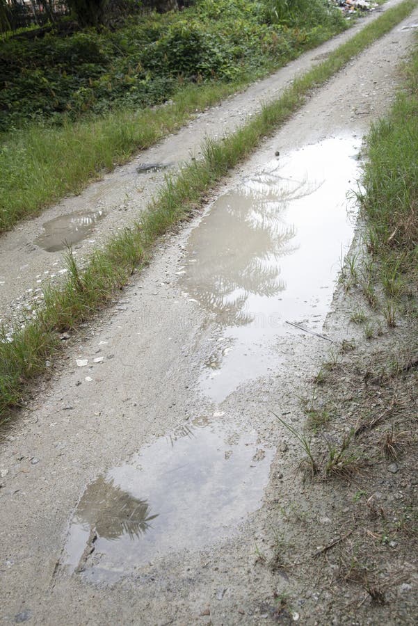 Reflective Puddle Along the Rural Pathway Stock Image - Image of ...