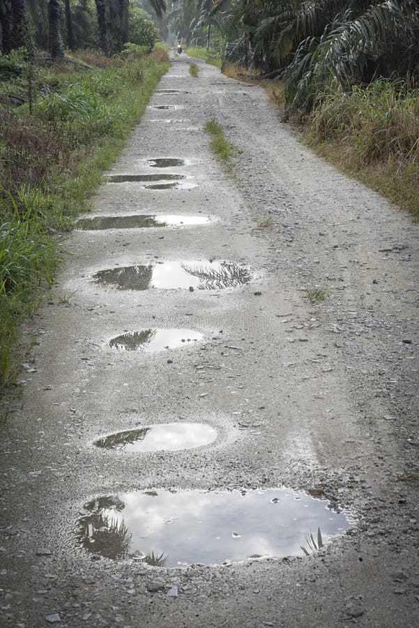 Reflective Puddle Along the Rural Pathway Stock Photo - Image of ...