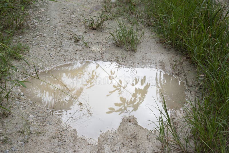 Reflective Puddle Along the Rural Pathway Stock Image - Image of gravel ...