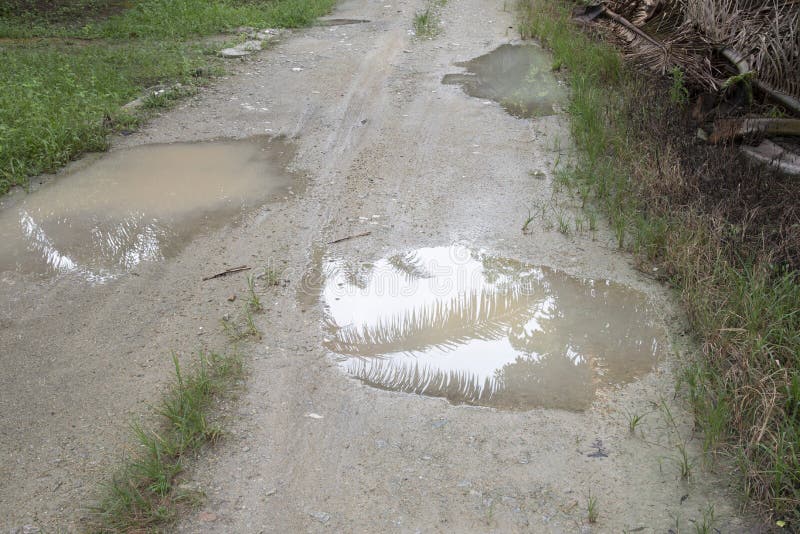 Reflective Puddle Along the Rural Pathway Stock Photo - Image of bright ...