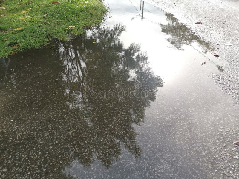 Reflective Puddle with Stagnant Water on the Roadside after the Rain ...