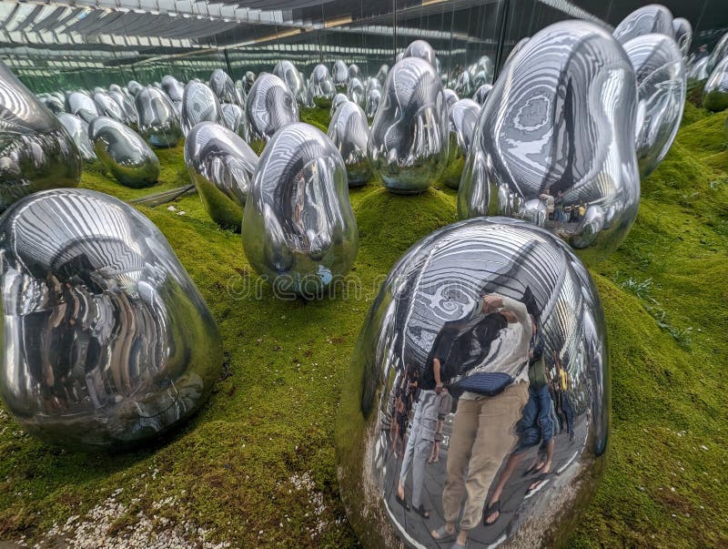 Immersive Art Experience at TeamLab Borderless Museum, Tokyo Editorial ...