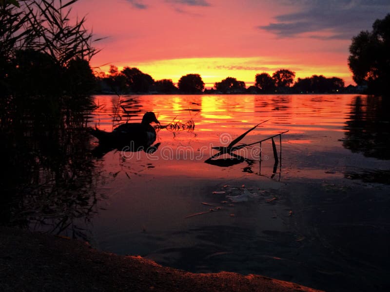 Reflective sunrise stock photo. Image of reflective, reflection - 48827060