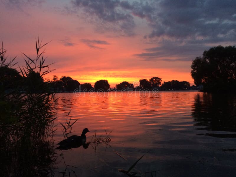 Reflective sunrise stock image. Image of reservoir, tree - 48827075