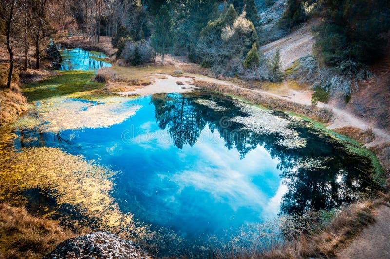 Reflective View of a Natural Aquifer Stock Image - Image of leaves ...