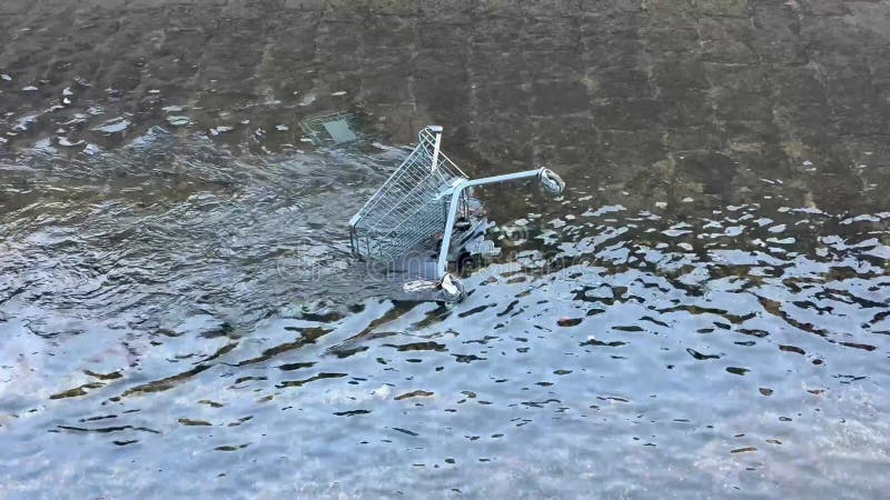 A Reflective Water Surface Capturing a Submerged Object Beneath the ...