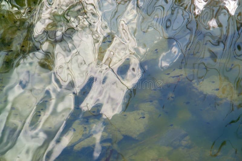 Reflective water surface stock photo. Image of fluid - 55105422